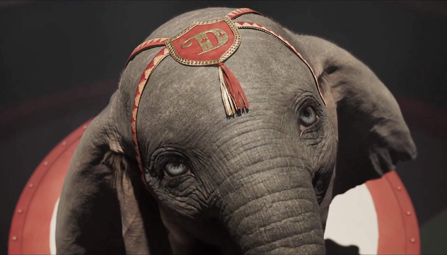 DUMBO (2019) (Movie Review) – I Can't Unsee That Movie: film news and ...